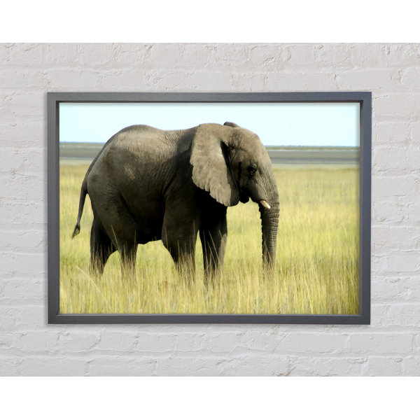 BohoLiving Afrikanischer Elefant Namibia - Einzelner Bilderrahmen Kunstdrucke auf Leinwand ...